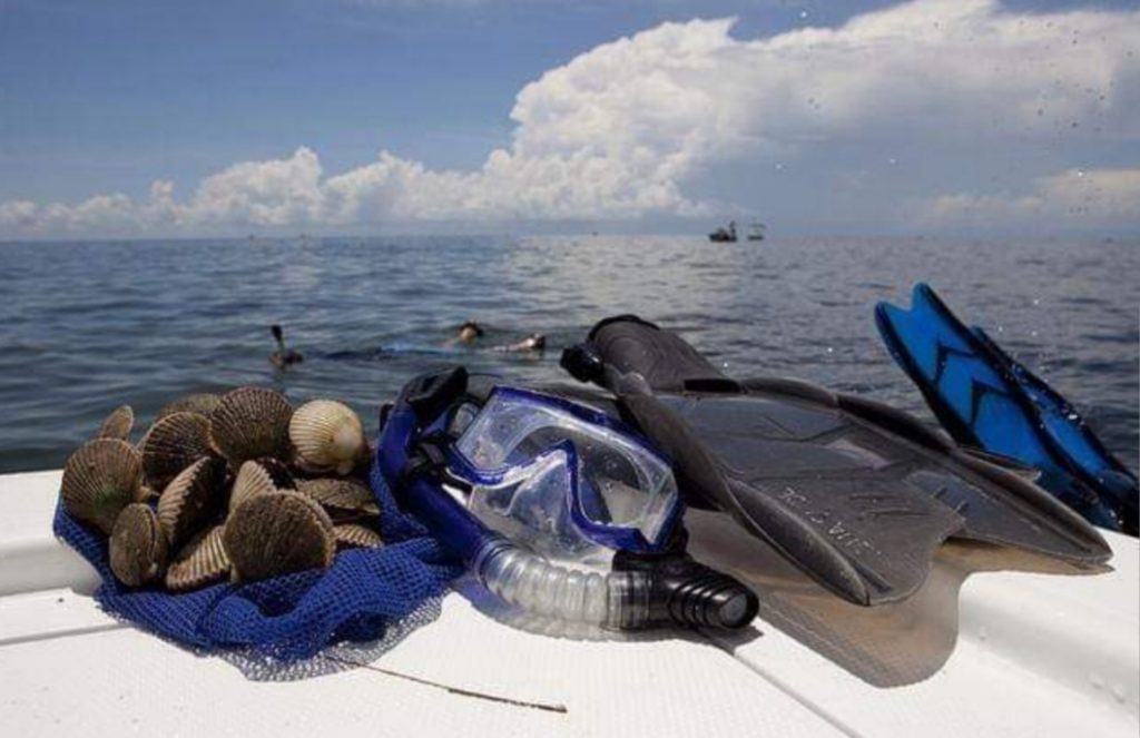 Steinhatchee scalloping season 2021 | My Fishing Buddy Charters